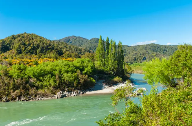 Best Marlborough Sounds Fishing Spots | Get Tackle