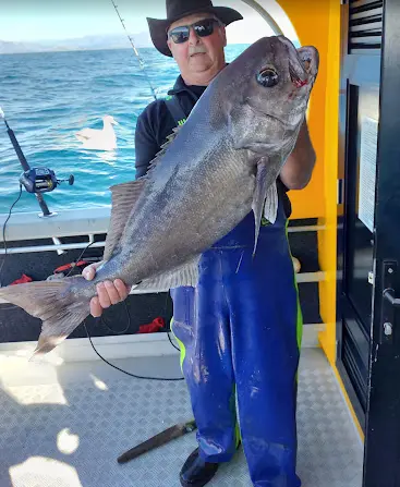 Best Kaikoura Fishing Charters - Book a Charter | Get Tackle