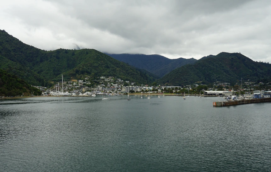 Best Marlborough Sounds Fishing Spots | Get Tackle