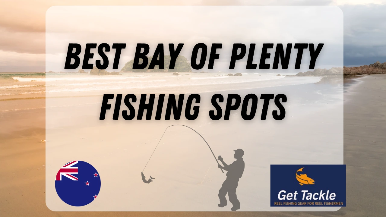 Best Bay of Plenty Fishing Spots | Get Tackle