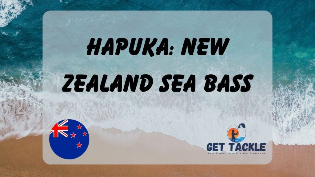 Hapuka: New Zealand Sea Bass - Get Tackle